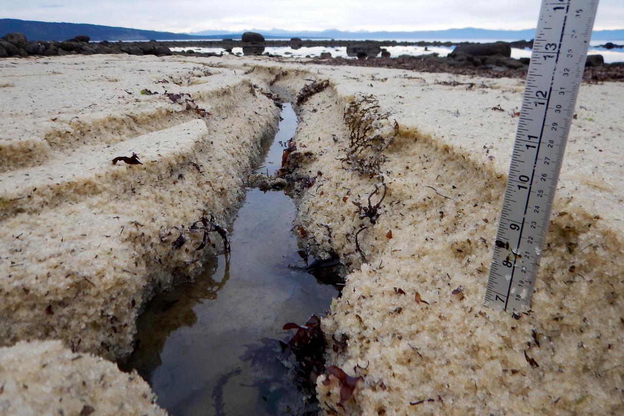 History of the Qualicum First Nation | Vancouver Island University | Canada
